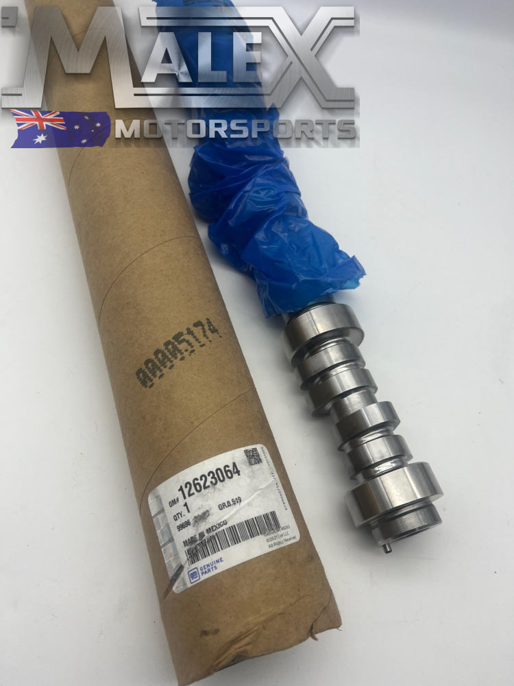 LSA Cam Genuine GM Standard LSA camshaft single bolt 12623064 – Malex ...